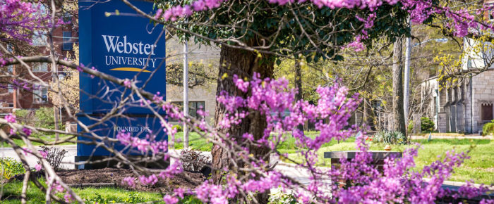 Webster University - Internationale uddannelser - St. Louis, USA m.fl ...